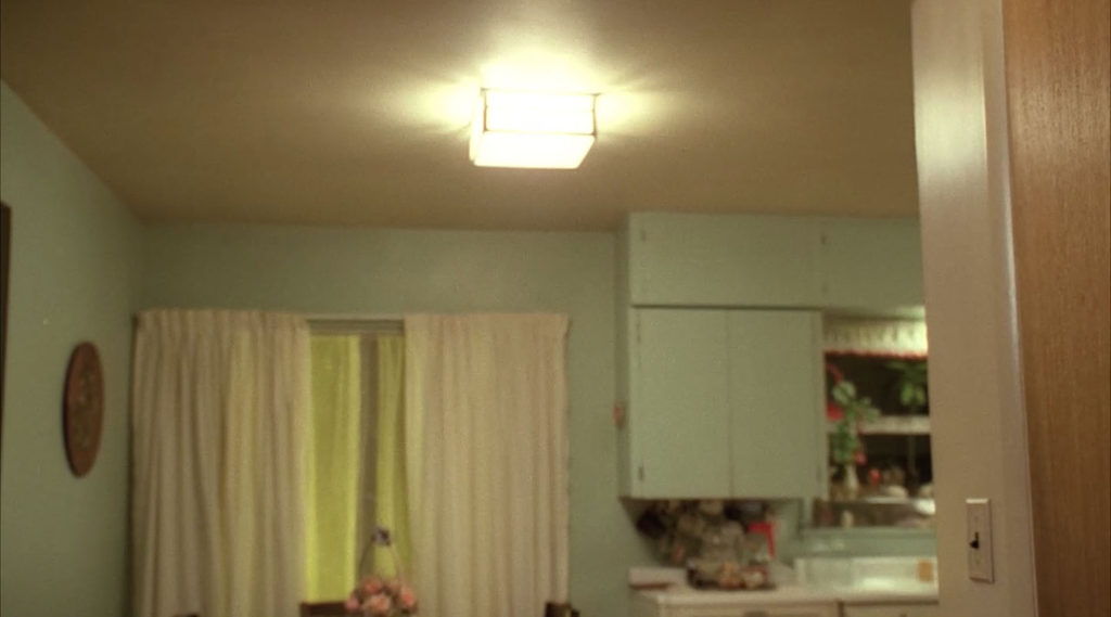 Vacant Peaks - The Briggs House | TWIN PEAKS BLOG