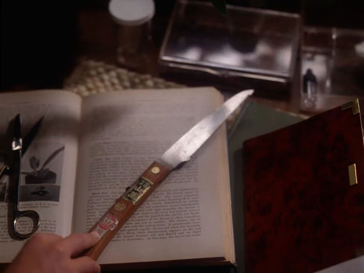 Twin Peaks Prop - Harold Smith's Books | TWIN PEAKS BLOG